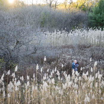 Engagement Photos - Jonathan Hare Wedding Photography